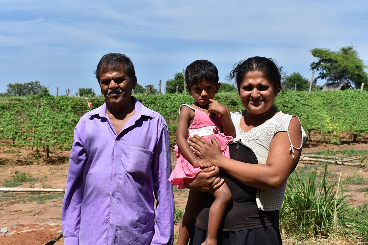 Can Incense Sticks Help Protect Crops from Elephants? | Maximus