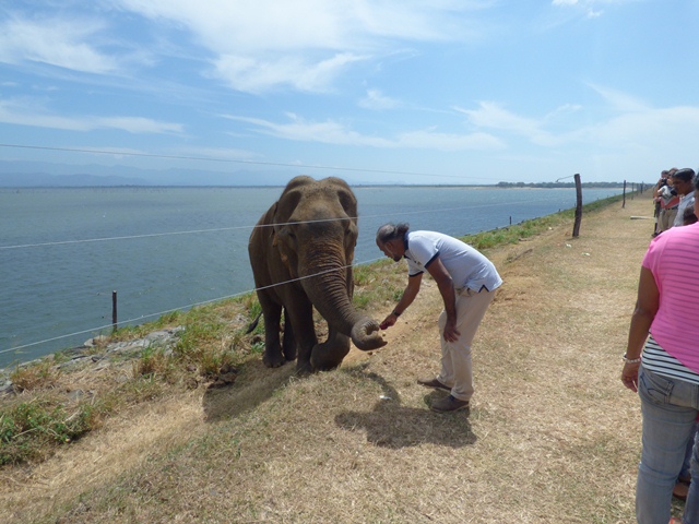 The Consequences of Irresponsible Tourism | Maximus