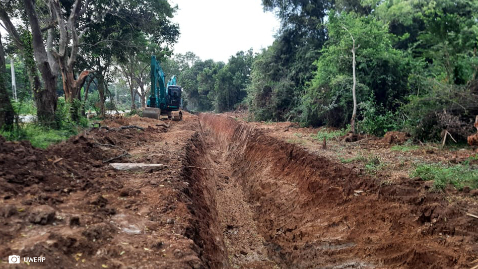 Are Trenches Really the Solution to Human-Elephant conflict in Sri Lanka? | Maximus