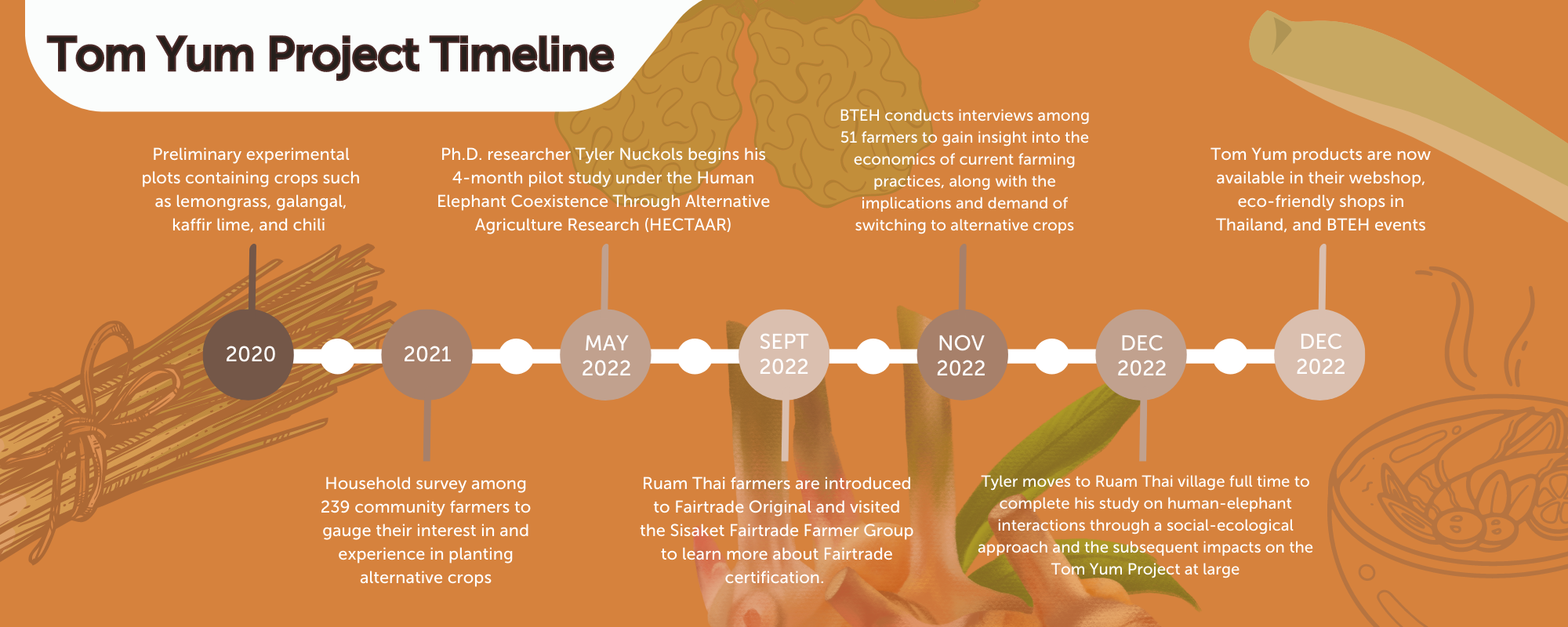 The Tom Yum project timeline: Facilitating human-elephant coexistence ...